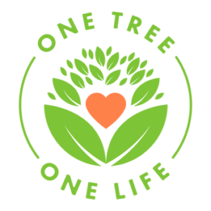 Mit einem Dachzelt zur Nachhaltigkeit beitragen